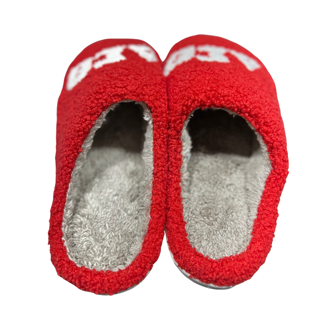 Delta Sigma Theta DST Cozy Slippers – Washington Designs
