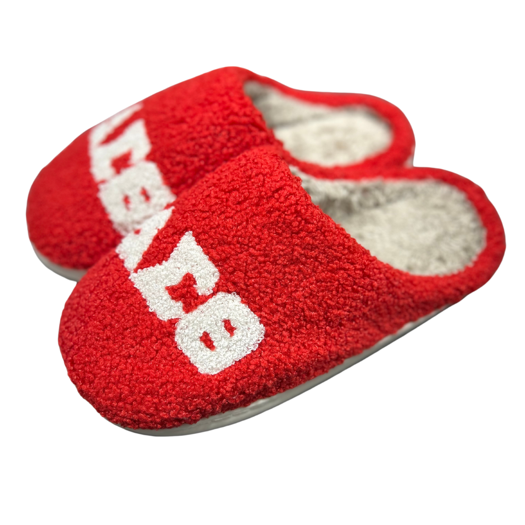 Delta Sigma Theta DST Cozy Slippers – Washington Designs